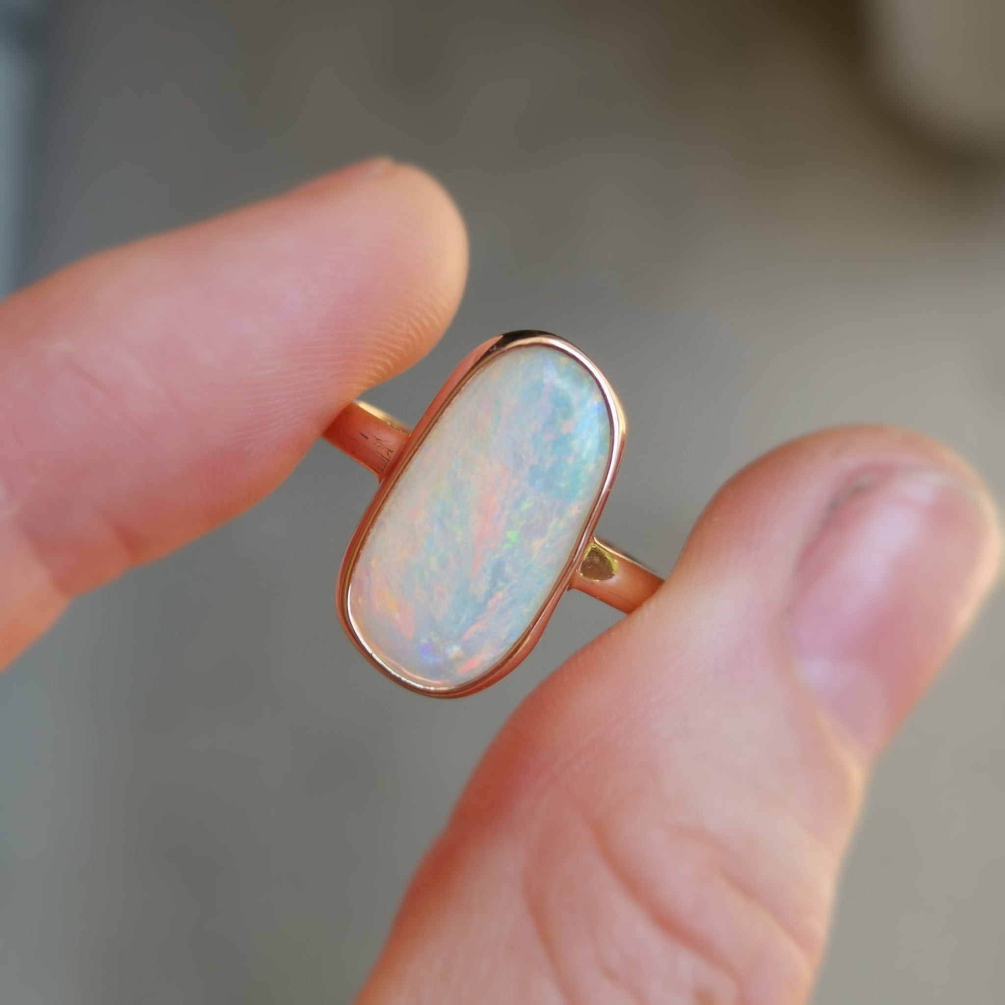 Lovebird Rainbow – Bluebell Design